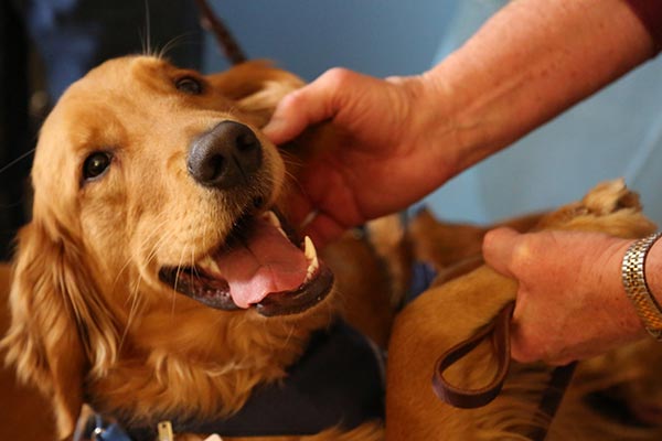 Pet prescription | Parkview Health