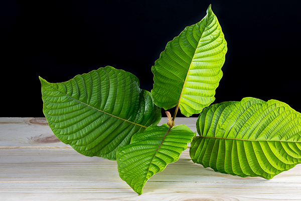The frightening truth about Kratom | Parkview Health